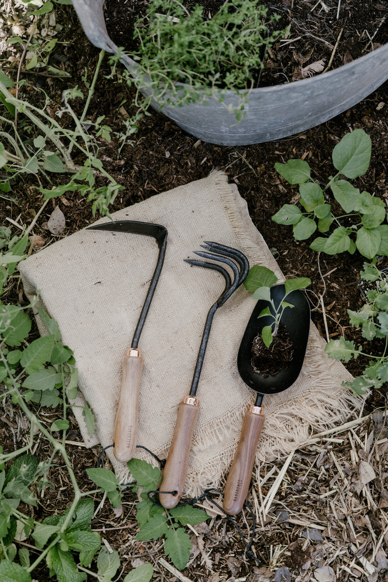 Tools for the garden – Gin Gin Garden Club