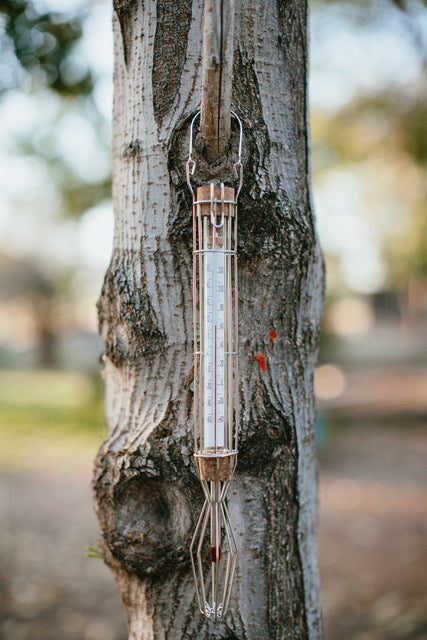 Cage Thermometer – Gin Gin Garden Club